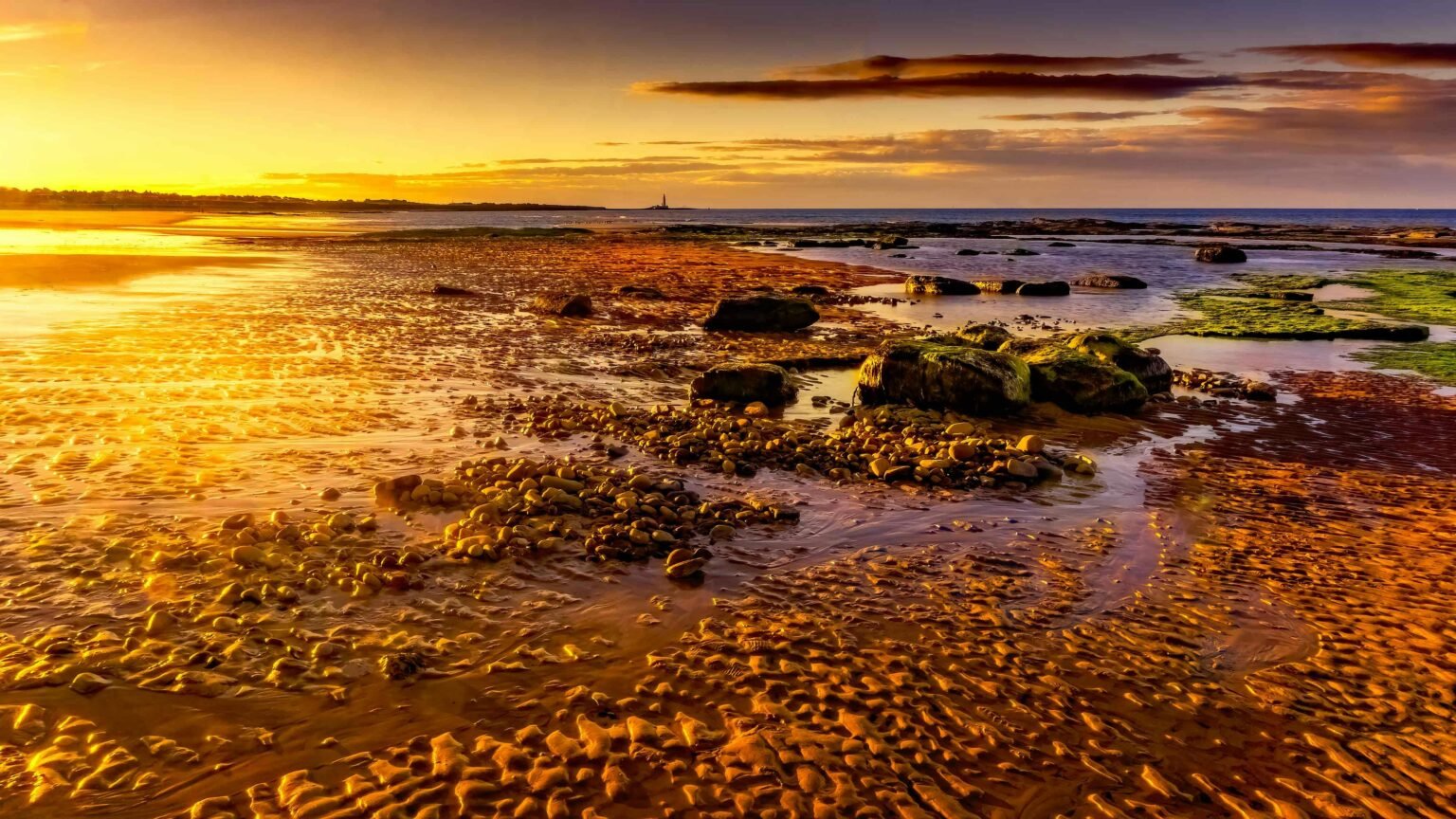 11 Hidden Treasures: Best Beaches in Goa Beyond Baga | TheIndiaTourism.in